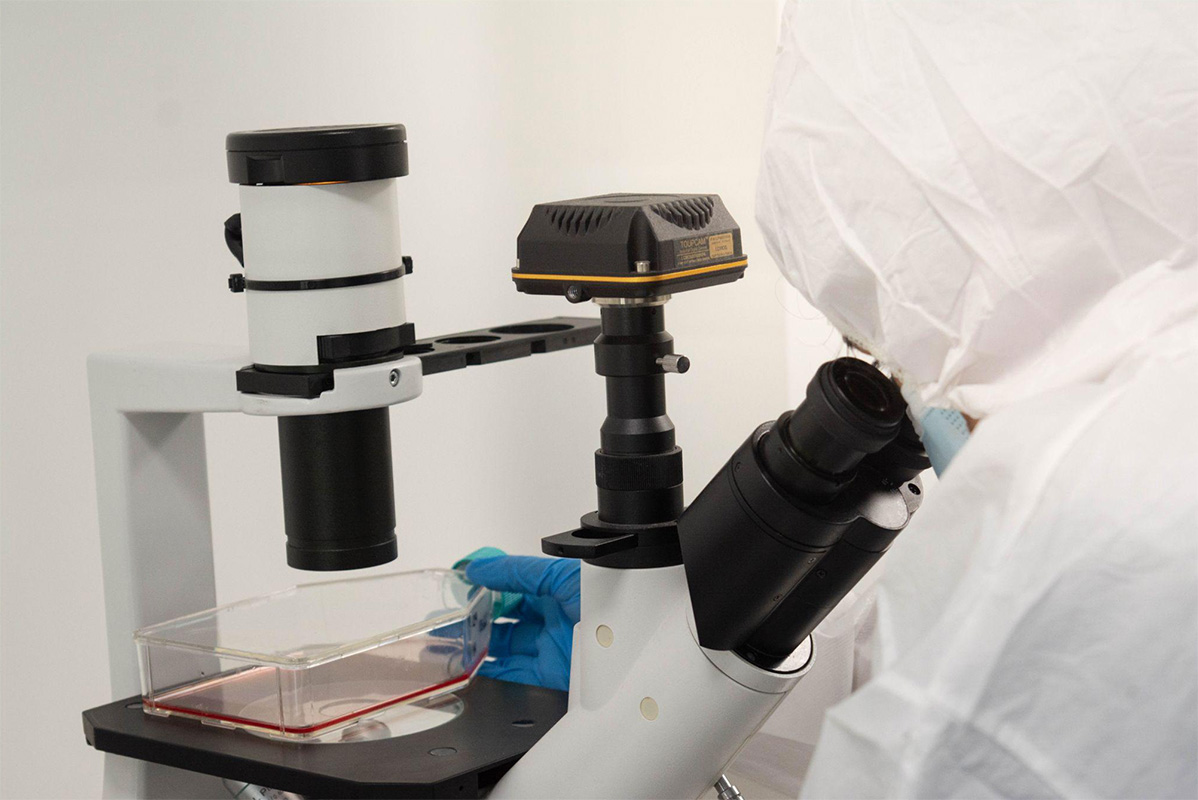 Immunotherapy Regenerative Medicines Stem Cell Procedure Emerges As A