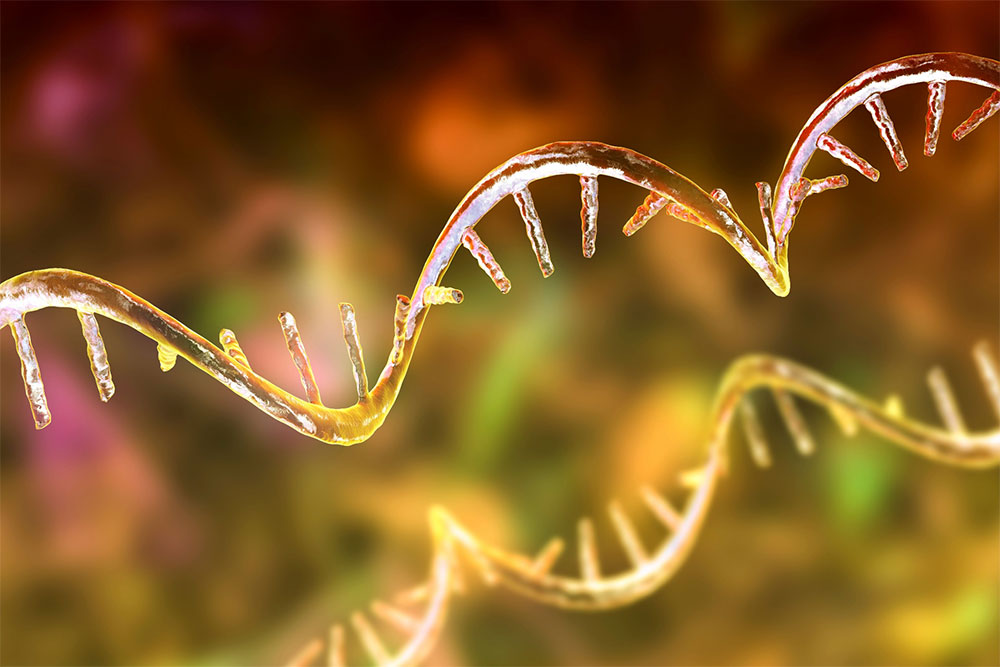 Enhancing scRNA-Seq Accuracy: The Transformative Power of Automated ...